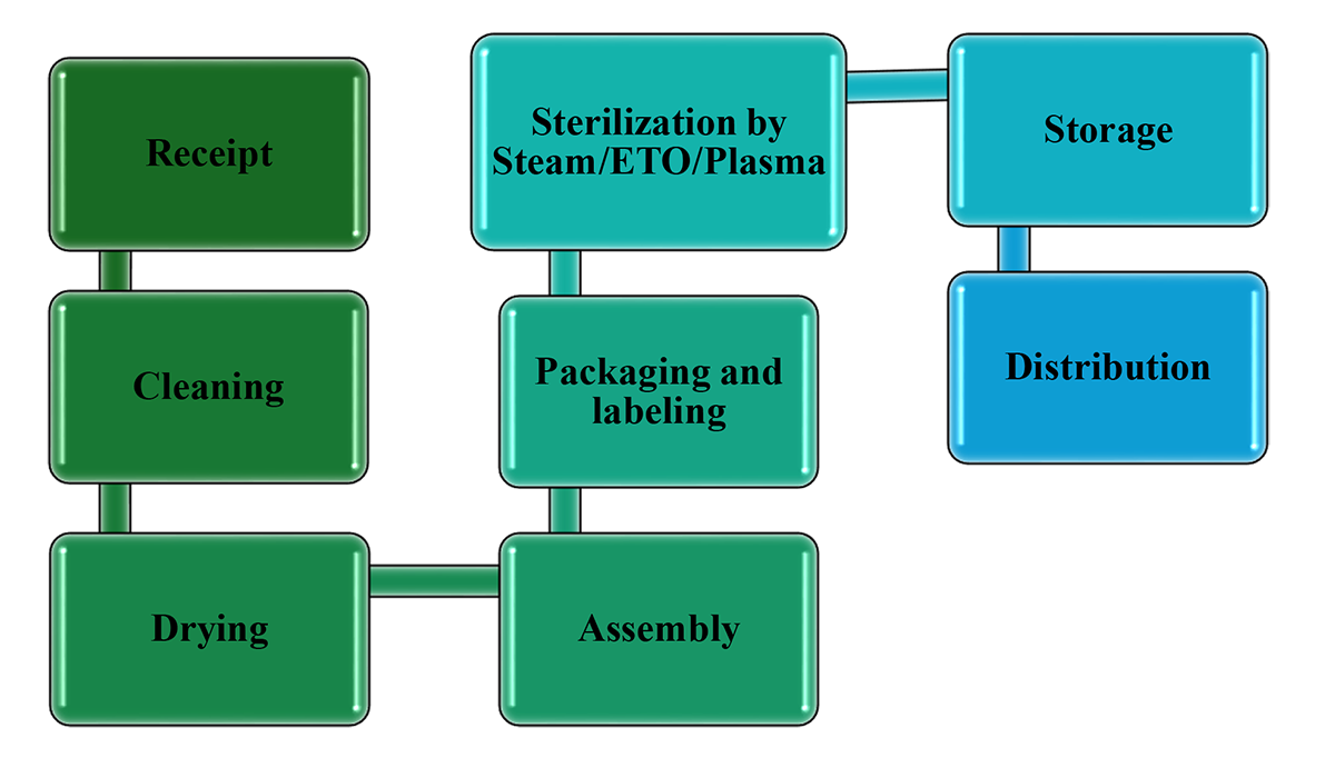 Behind the Scenes in Healthcare: The CSSD Circuit - ORO
